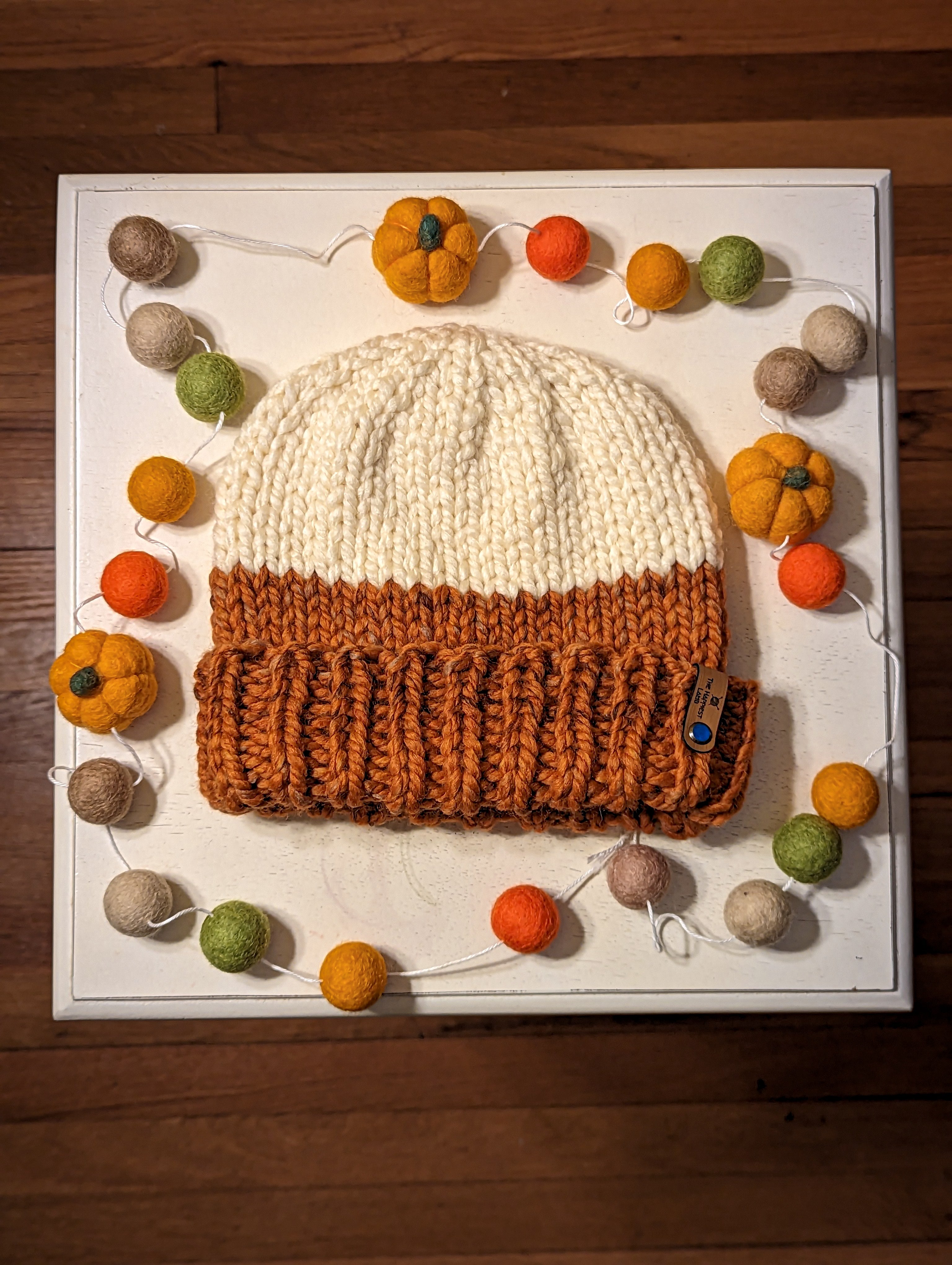 Jack loves Autumn – The Happiest Lamb